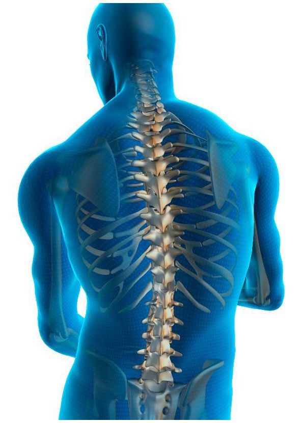 IFOMPT-OMPT – Fisioterapia Muscoloscheletrica & Reumatologica